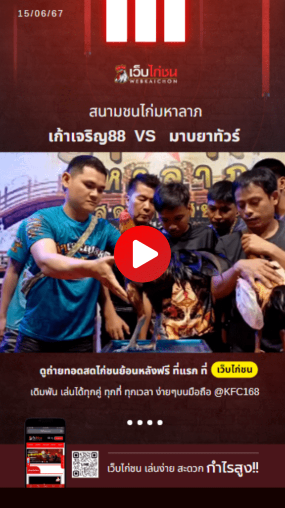 เปรียบไก่ชน เก้าเจริญ88 VS มาบยาทัวร์ ณ สนามชนไก่มหาลาภ - Webkaichon.net