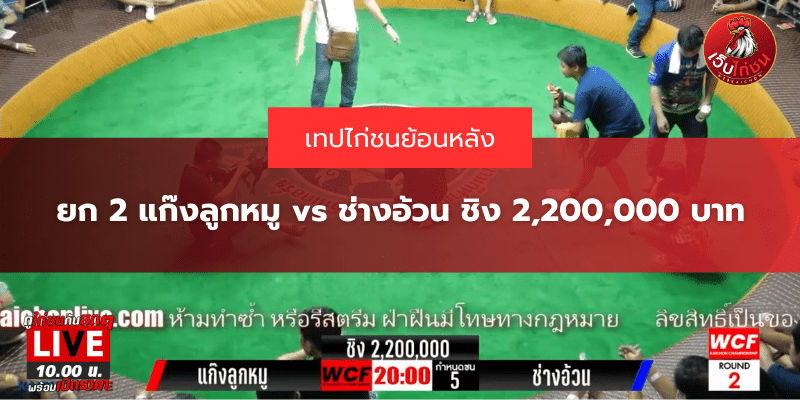 ยก 2 แก๊งลูกหมู vs ช่างอ้วน ชิง 2,200,000 บาท - เทปไก่ชนย้อนหลัง