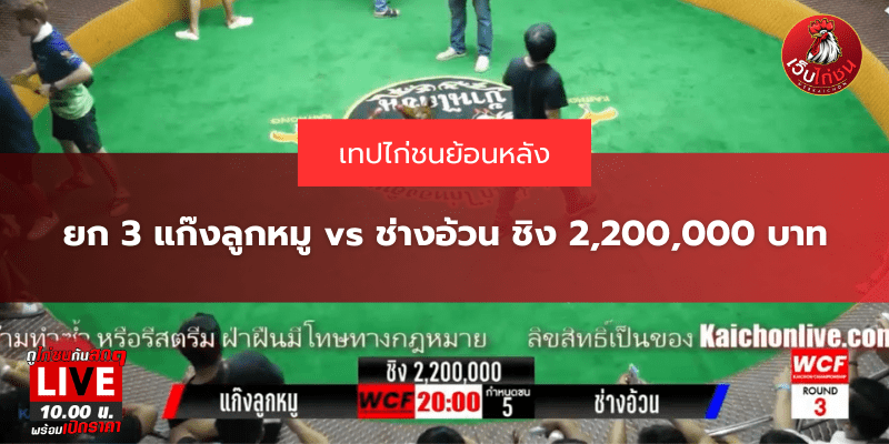 ยก 4 แก๊งลูกหมู vs ช่างอ้วน ชิง 2,200,000 บาท - เทปไก่ชนย้อนหลัง