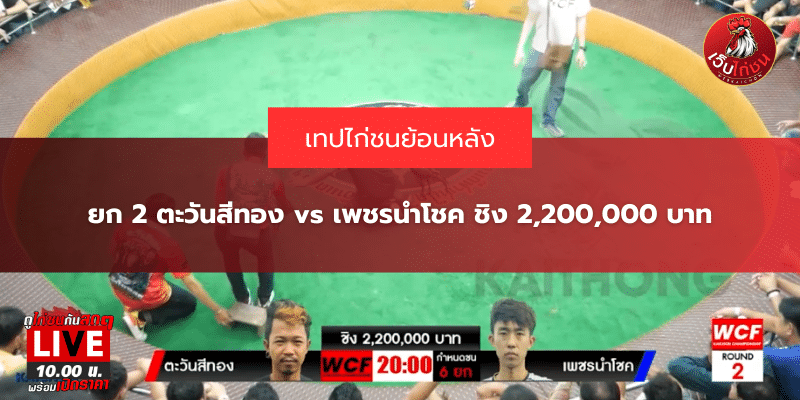 ยก 2 ตะวันสีทอง vs เพชรนำโชค ชิง 2,200,000 บาท - Webkaichon.net