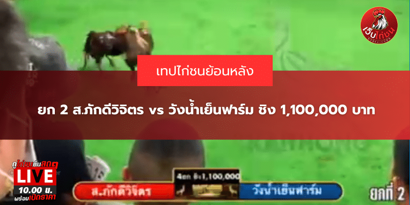 ยก 2 ส.ภักดีวิจิตร vs วังน้ำเย็นฟาร์ม ชิง 1,100,000 บาท - Webkaichon.net
