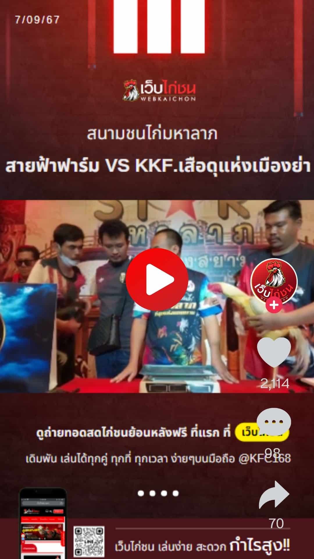 เปรียบไก่ชน สายฟ้าฟาร์ม VS KKF.เสือดุแห่งเมืองย่า - Webkaichon.net