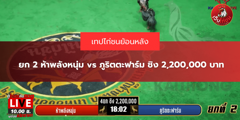 ยก 2 ห้าพลังหนุ่ม vs ภูริตตะฟาร์ม ชิง 2,200,000 บาท - Webkaichon.net